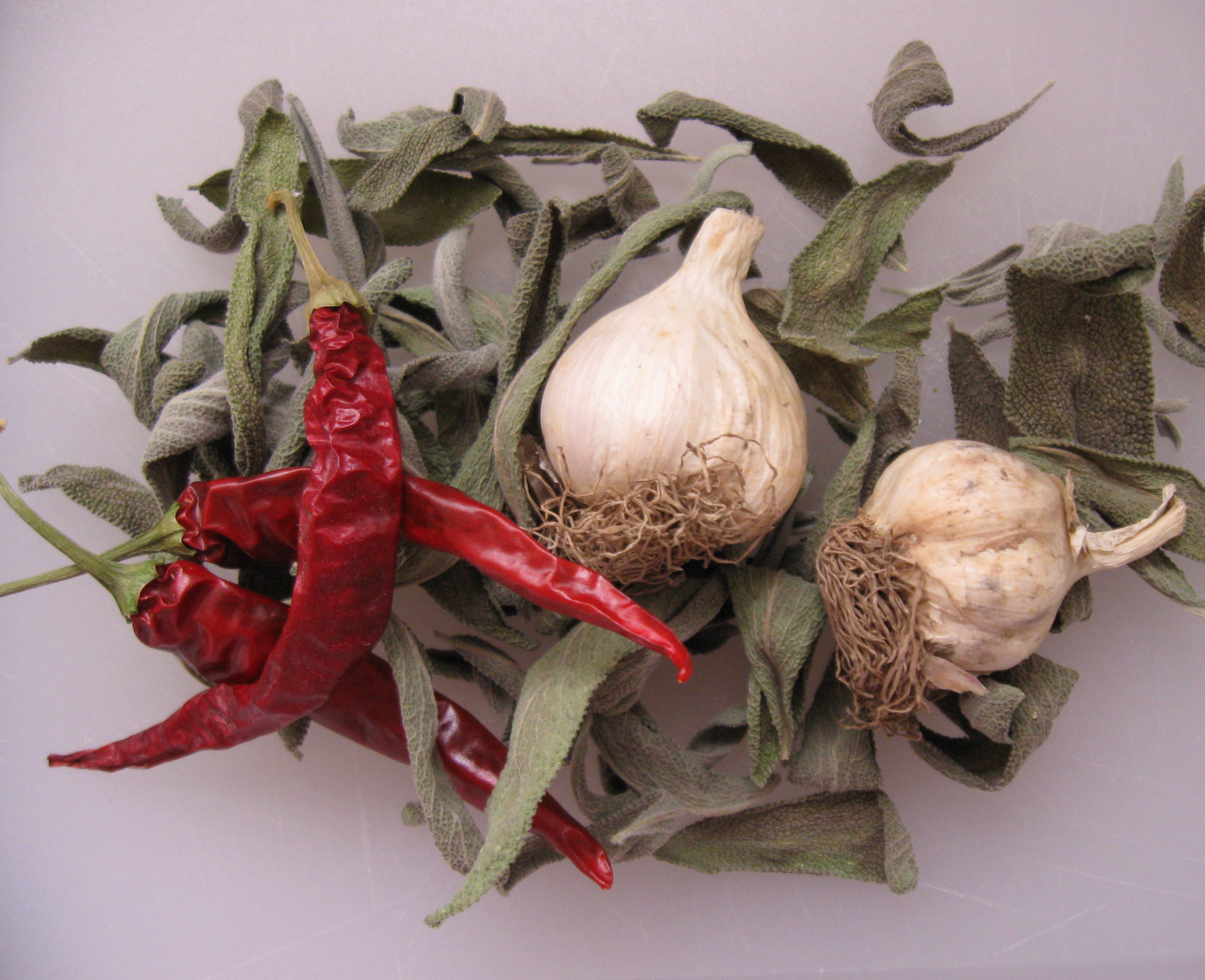 heat mat | My Urban Farmscape