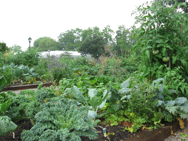 Urban Farmscape Vacation | My Urban Farmscape